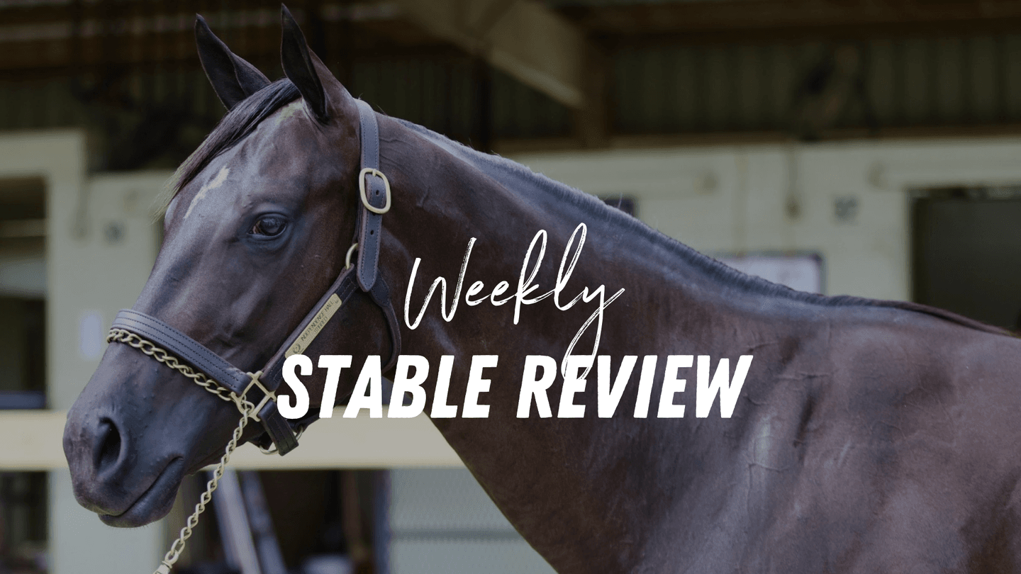 Weekly Stable Review