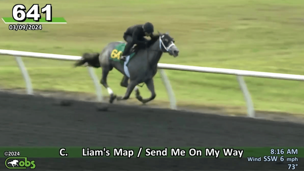 Caldera – Dalmore Myracehorse