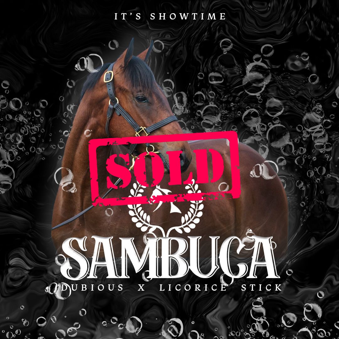 Sambuca: Sold Out