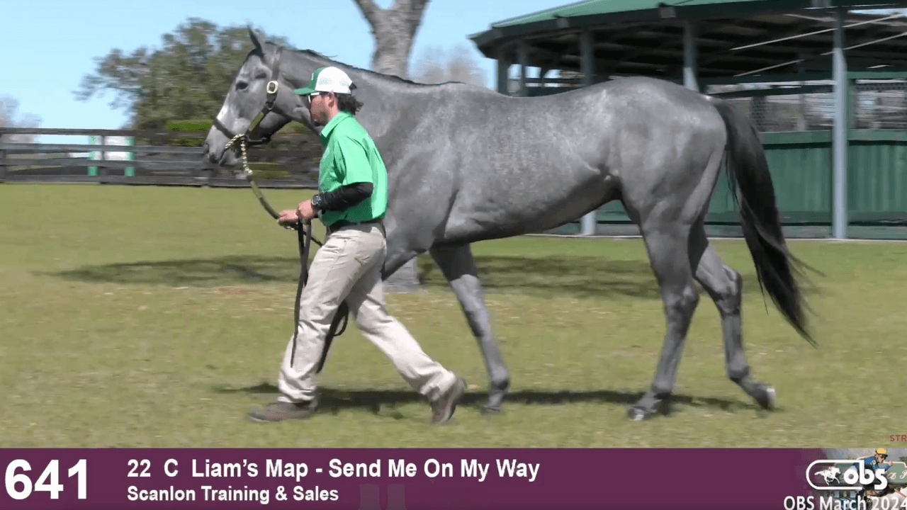 Caldera – Dalmore Myracehorse