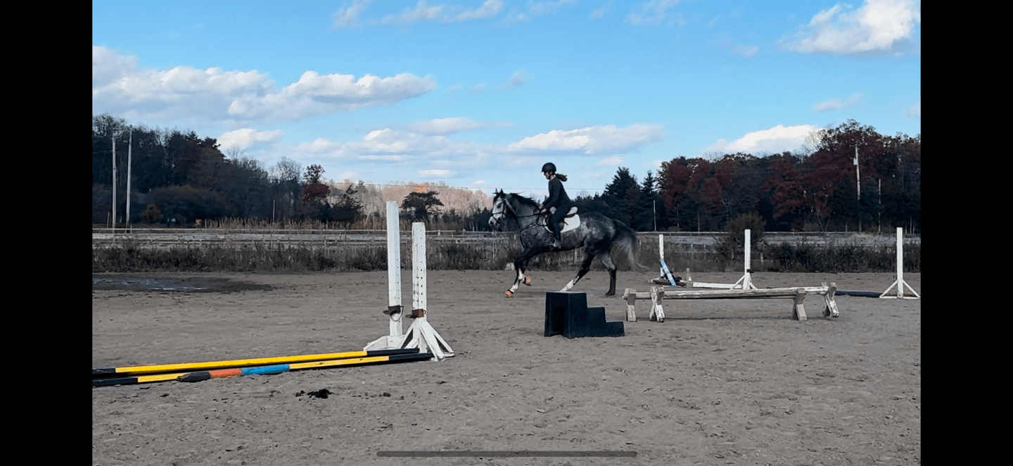 Owner Update