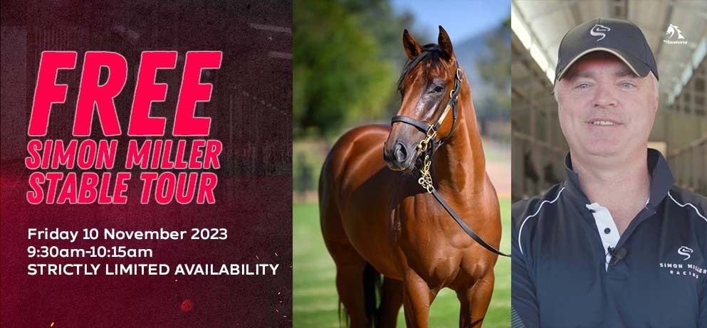 Simon Miller Stable Tour