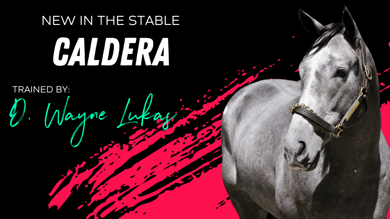 Caldera – Dalmore Myracehorse