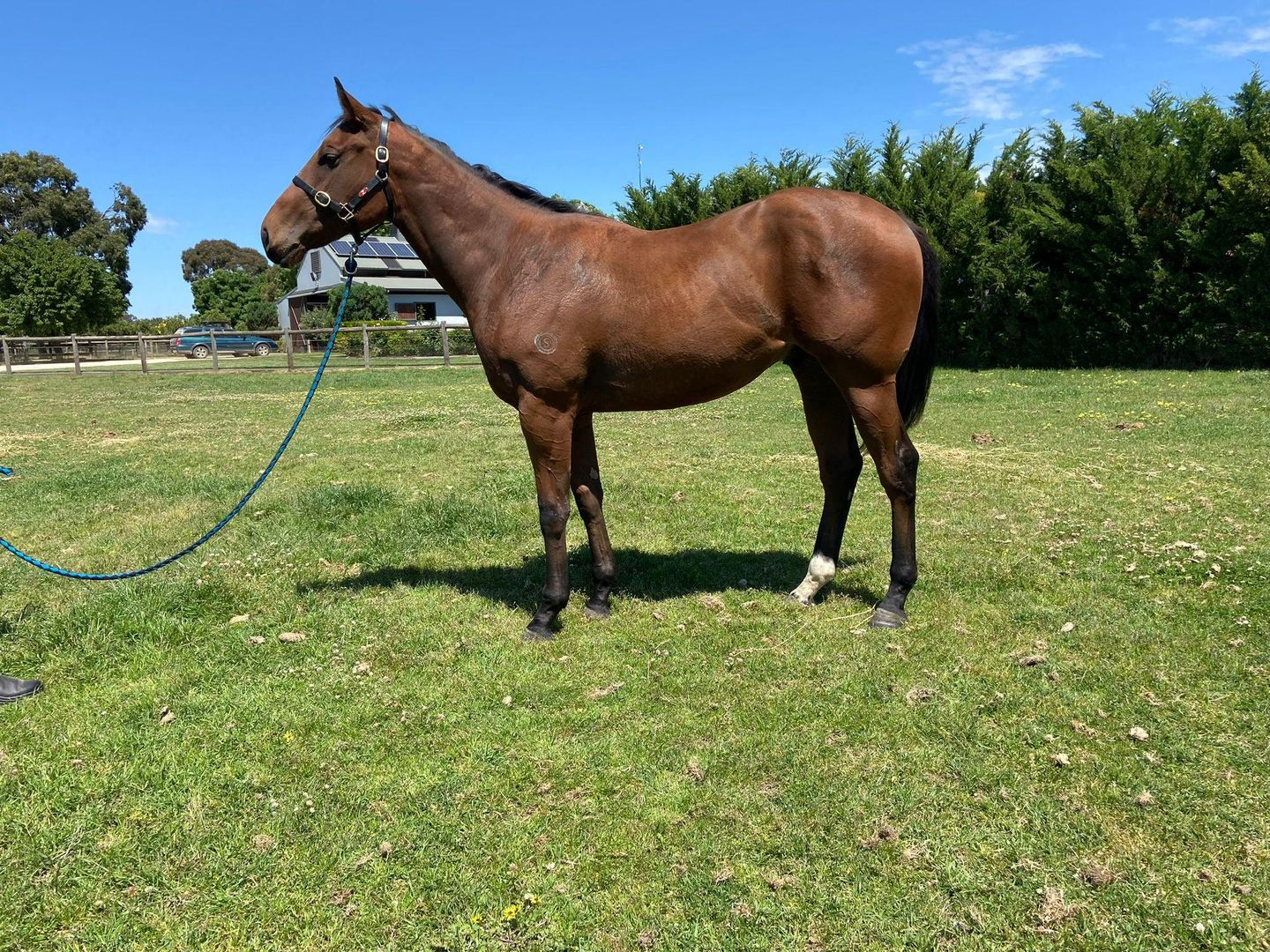 Charming Nic: Spelling Update