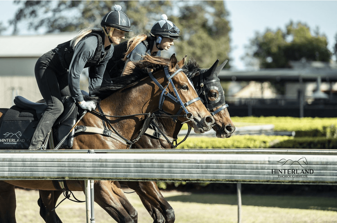 Firebolt: Pre-Training Update
