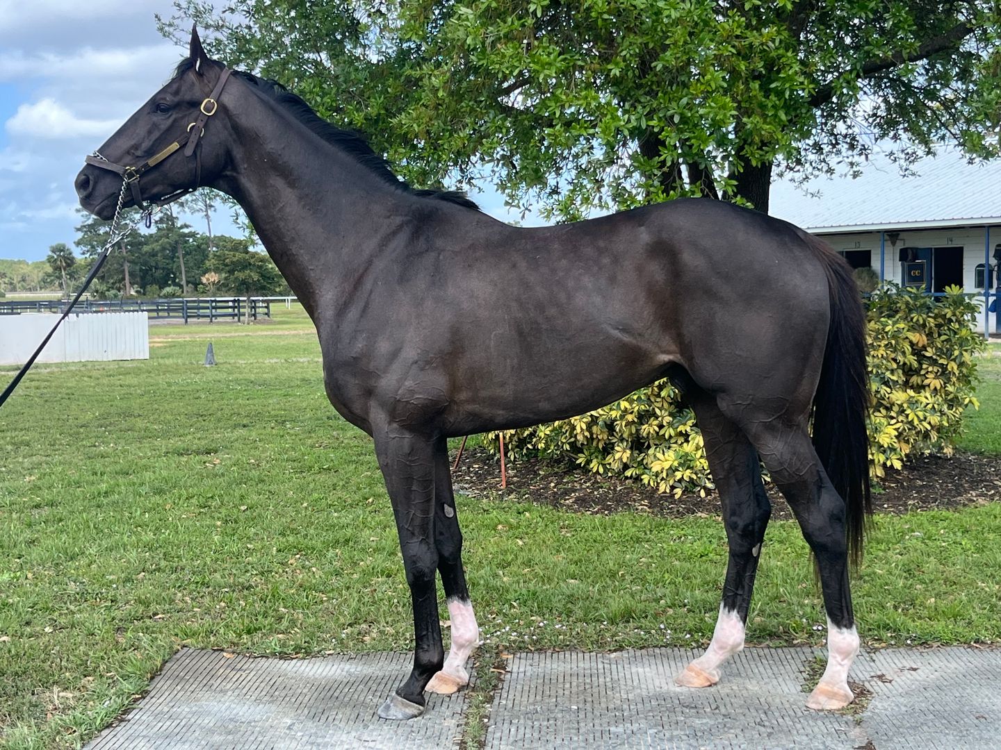 Real Savvy Workout Update