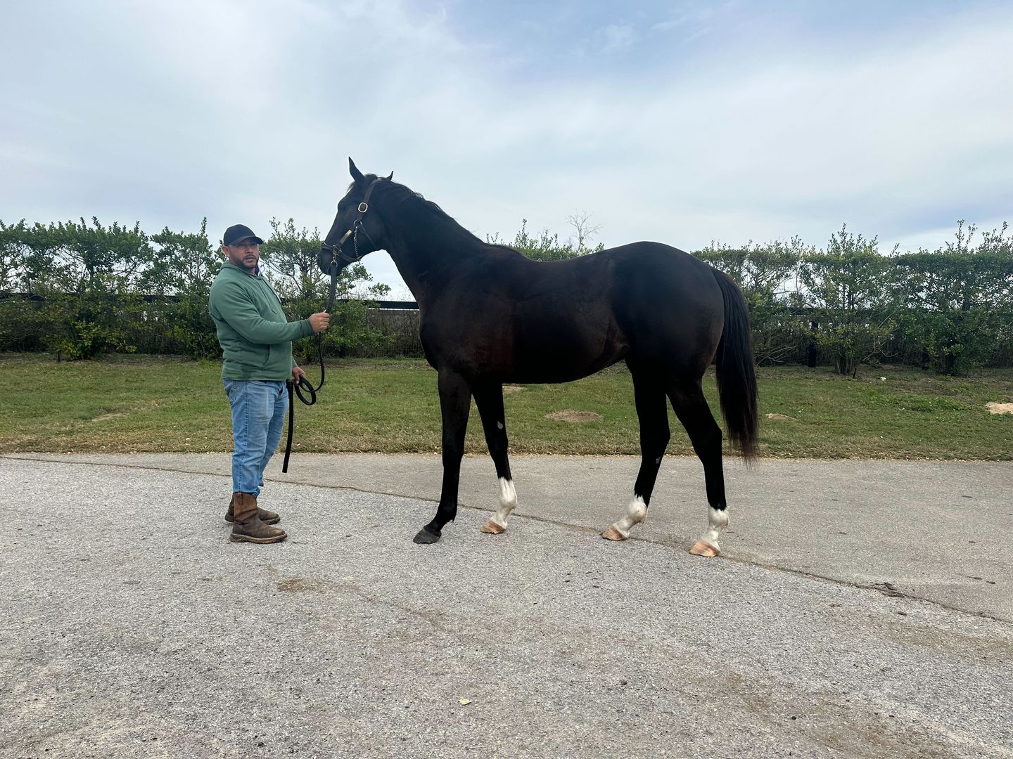 Savvy Sassy ´22 Update