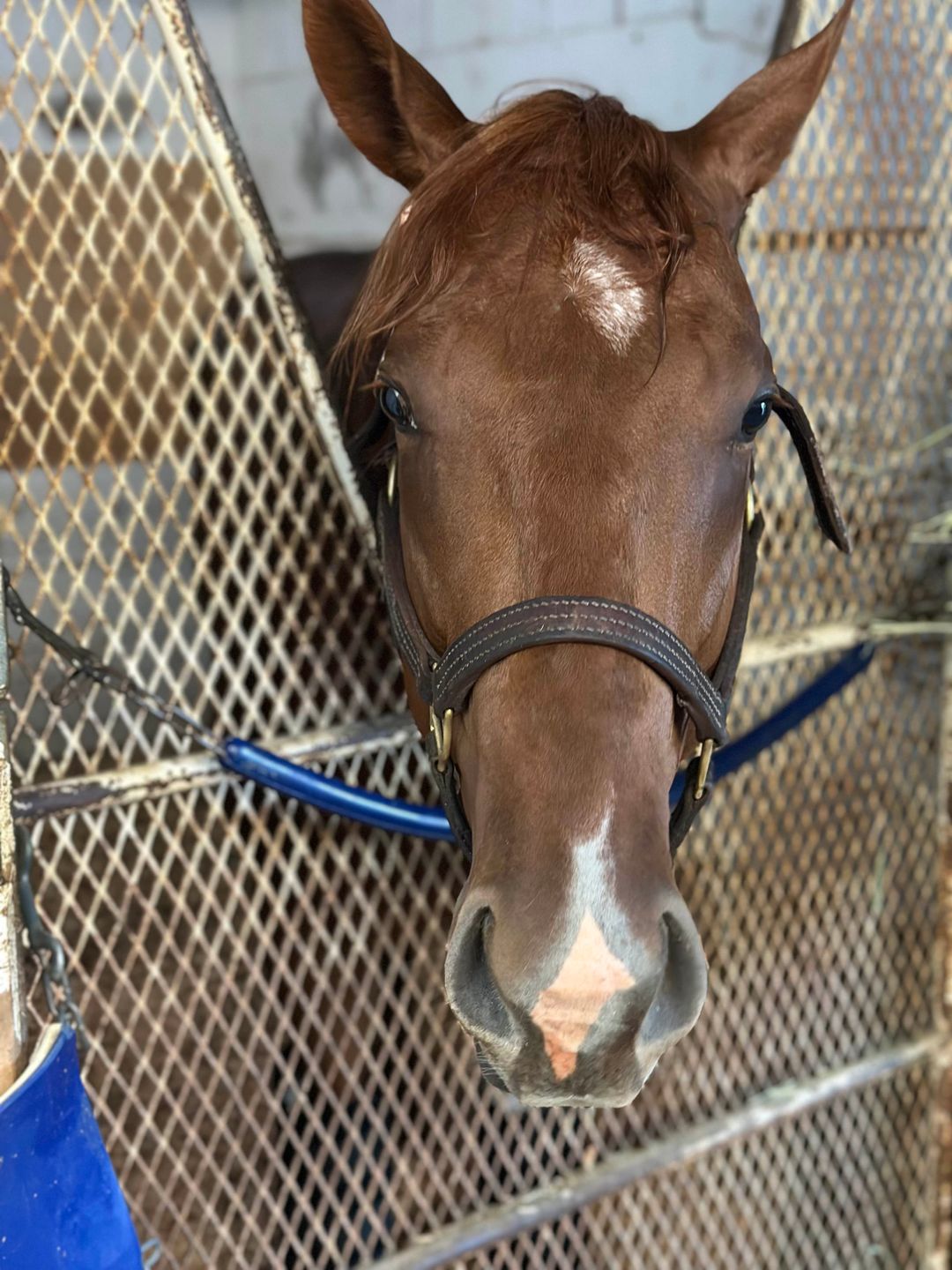 A Day to Remember Update