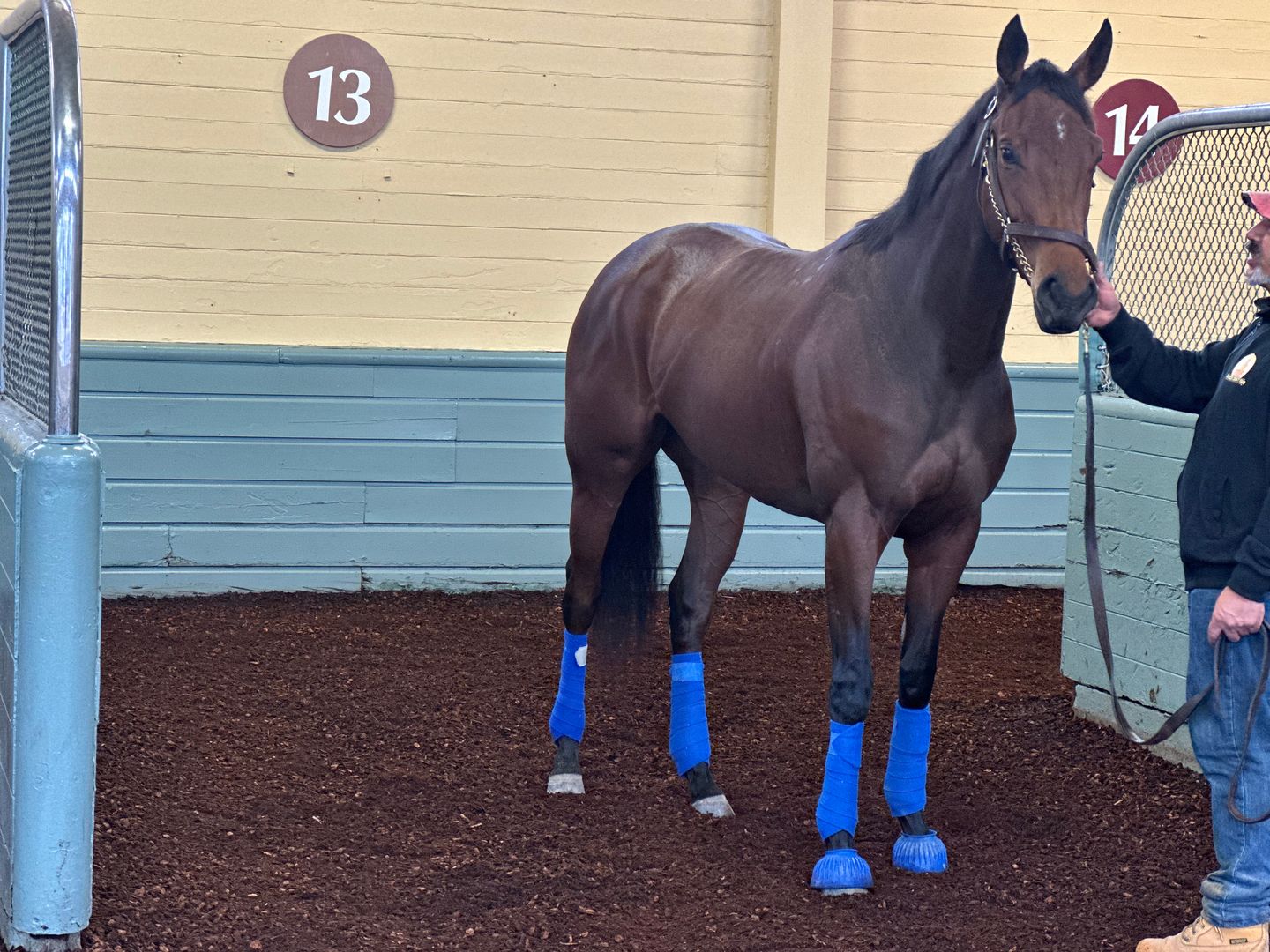 Simply Enchanting Race Overview