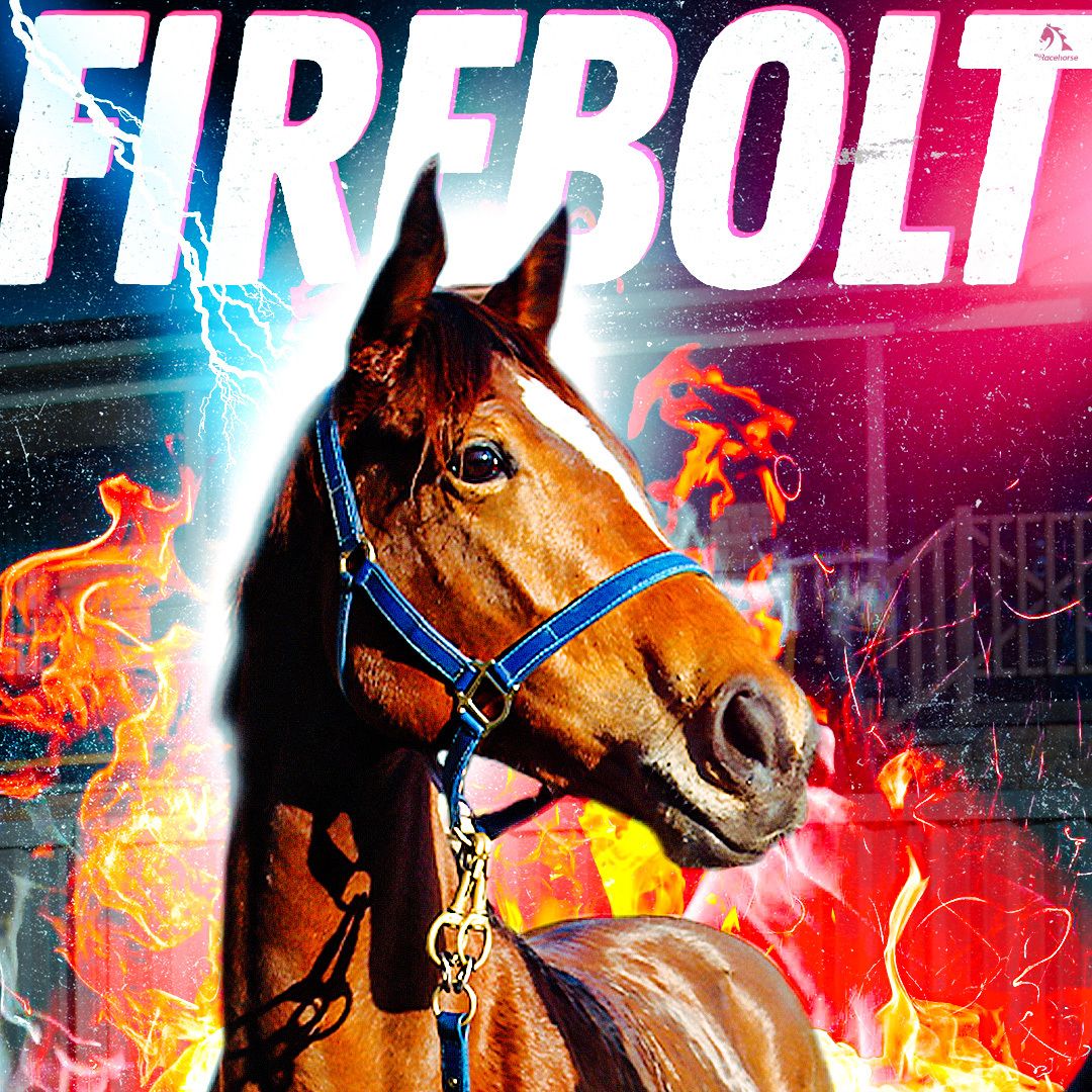 Your BTR x CW filly has a name!