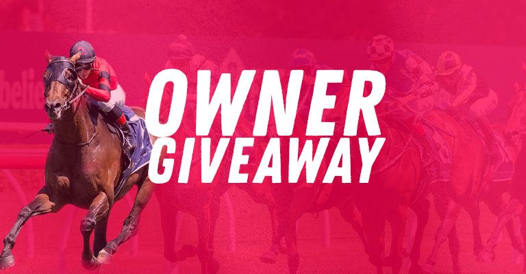 Nana's Wish: Owner Giveaway