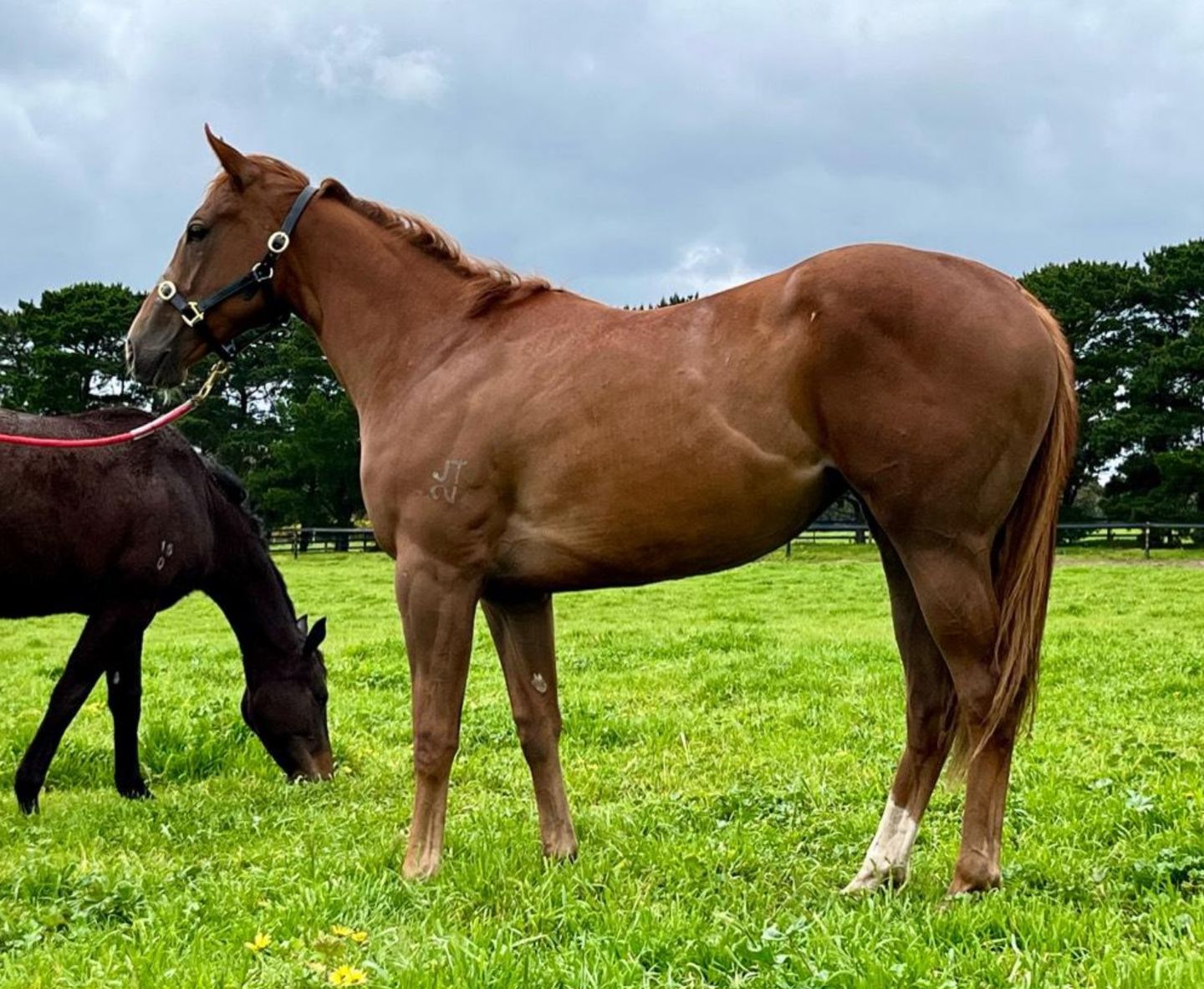 Your browser does not support the audio element.