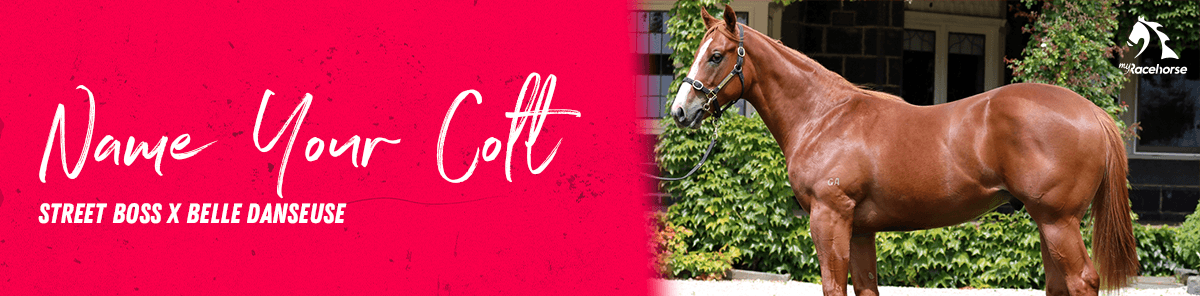 Street Boss Colt: Naming Reminder