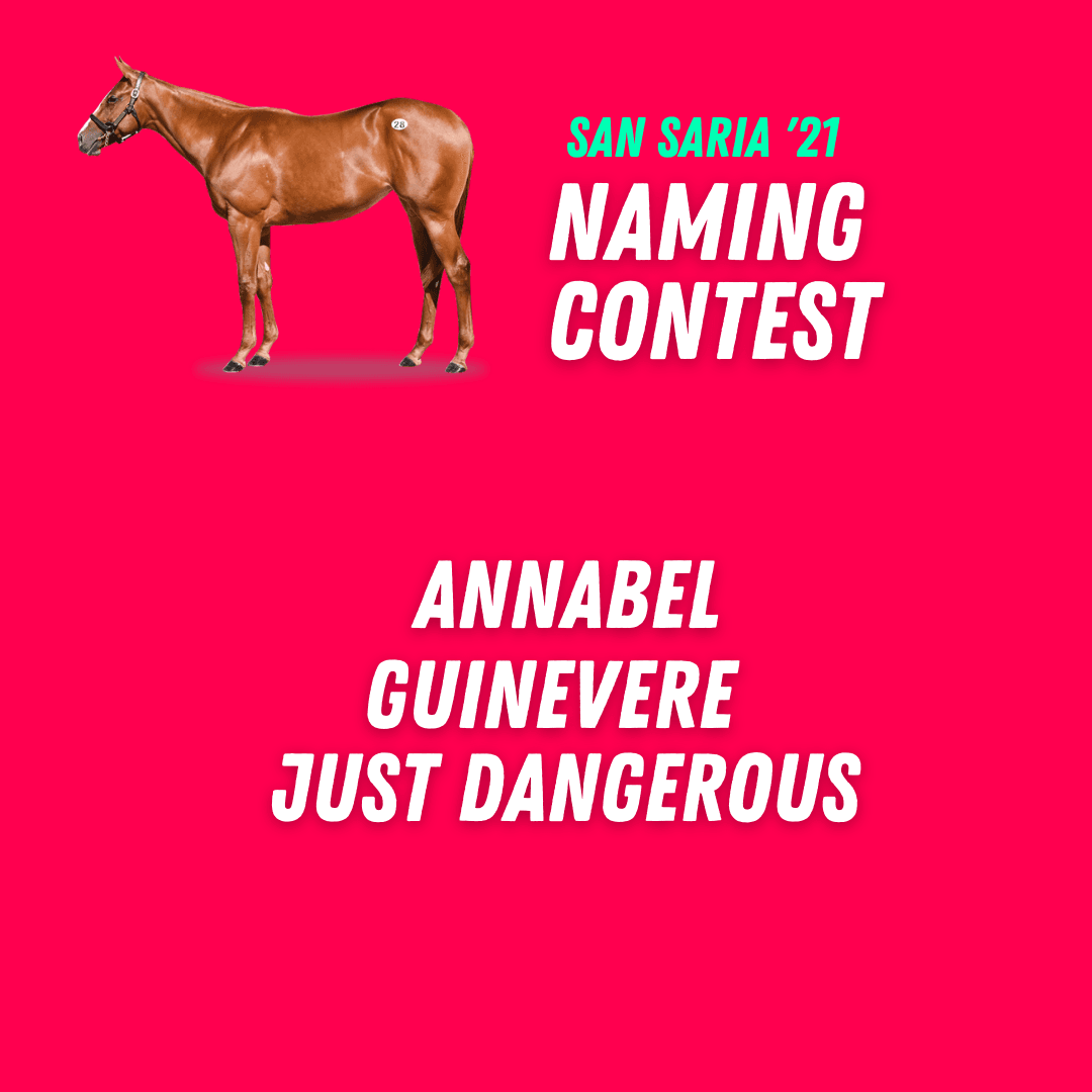 San Saria ’21 Naming Contest!