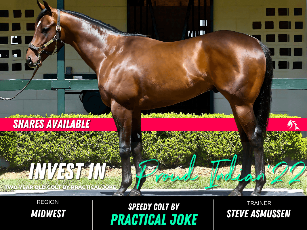 Now Available: Practical Joke Colt