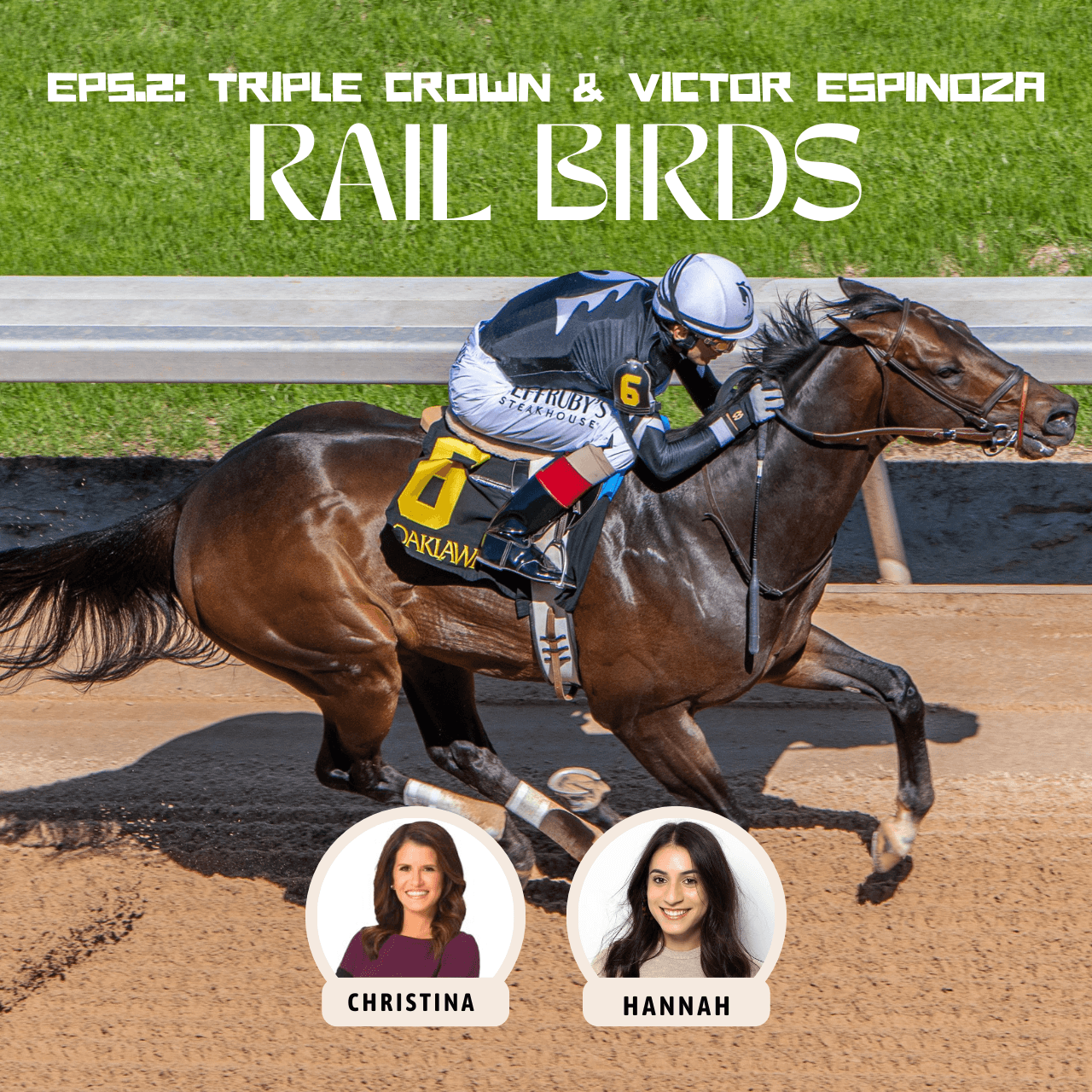 NEW Episode: Rail Birds Podcast