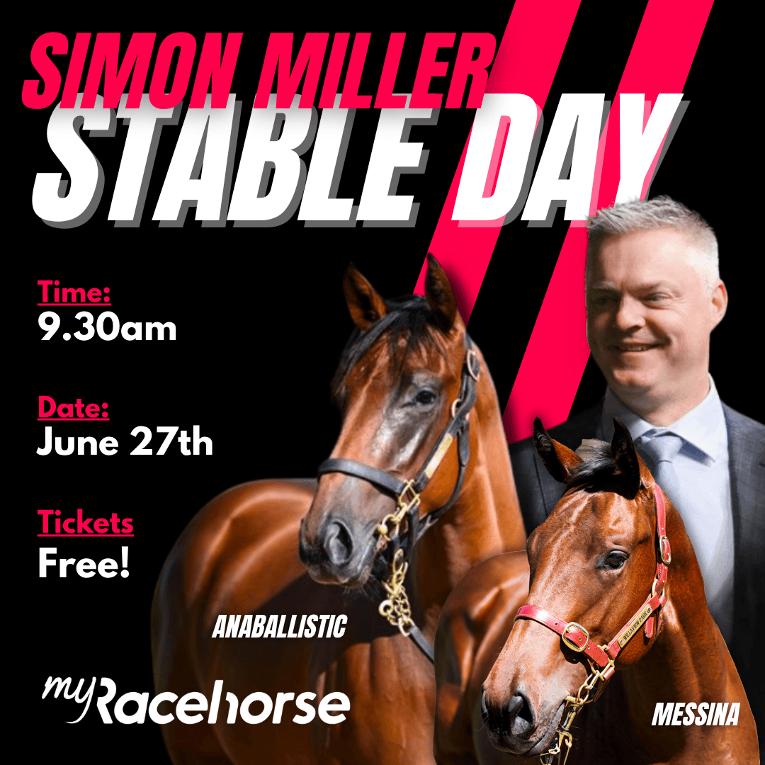 Simon Miller Stable Visit