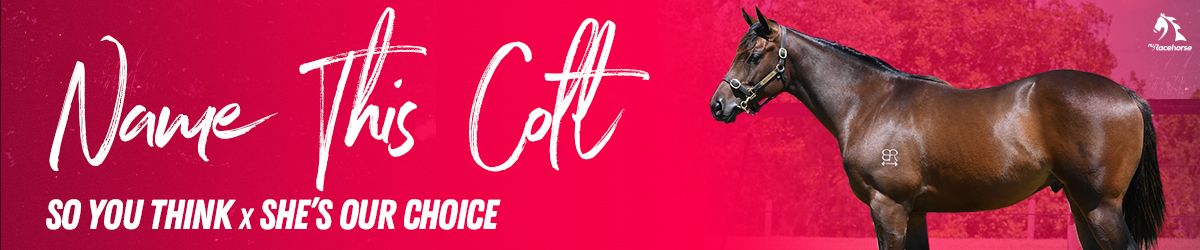 So You Think: Name Your Colt