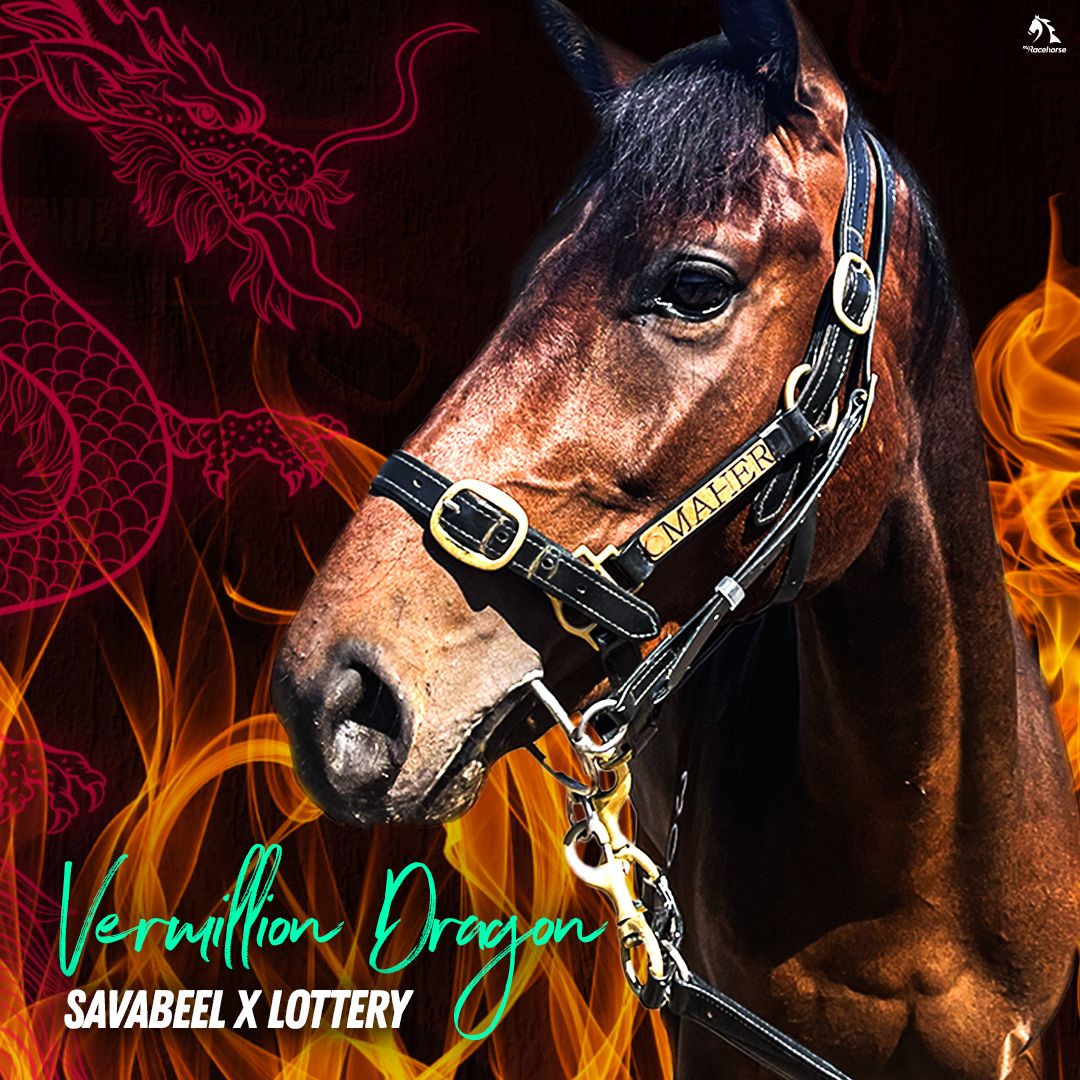 Your colt has a name!