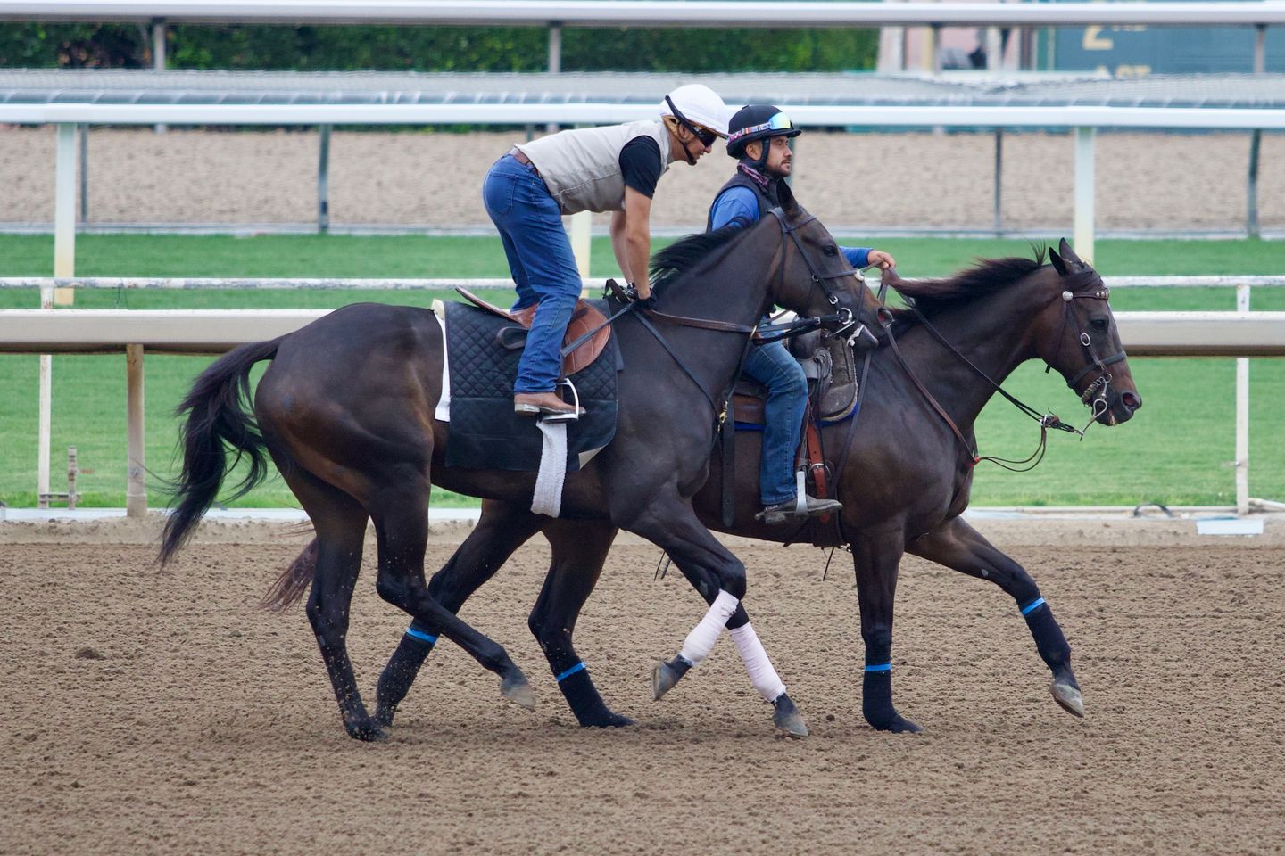 Moonlit Courage Workout Report