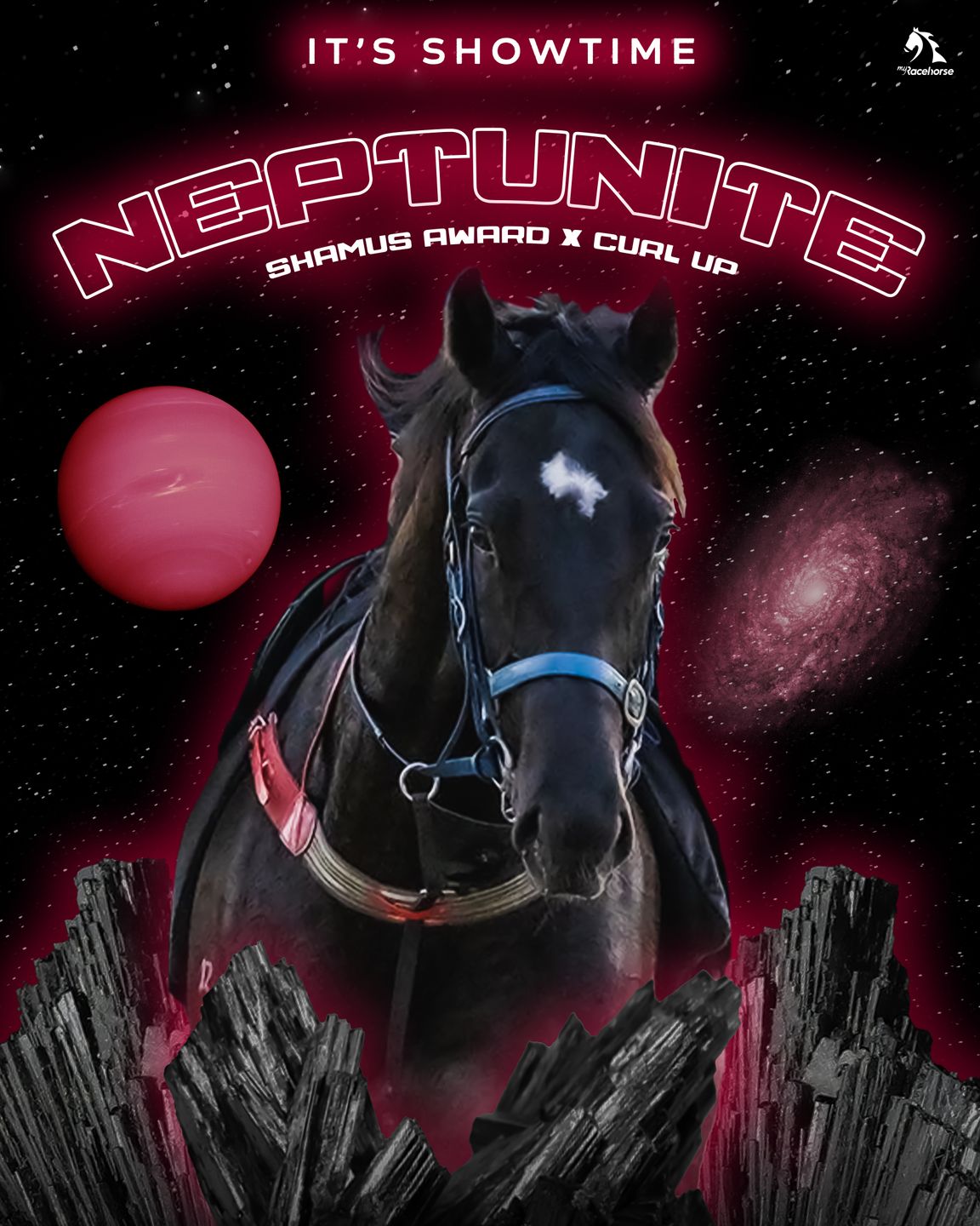 Your Shamus Award Colt Has A Name!