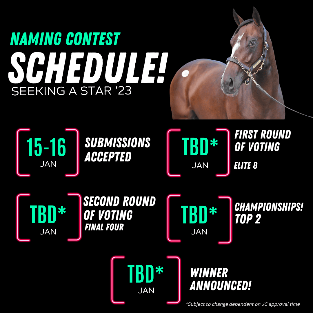 Naming Contest Update